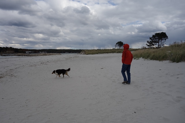 Wingaersheek Beach – Roaming About
