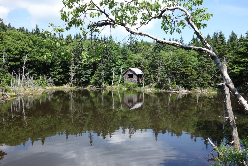 Climbing Mount Greylock… the Easy Way – Roaming About