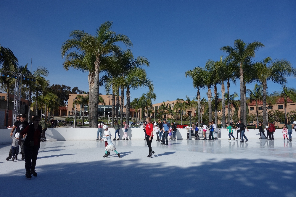 Wordless Wednesday – Ice Skating in Winter – Roaming About