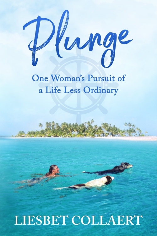 “Plunge” Book Review by BookLife – Roaming About
