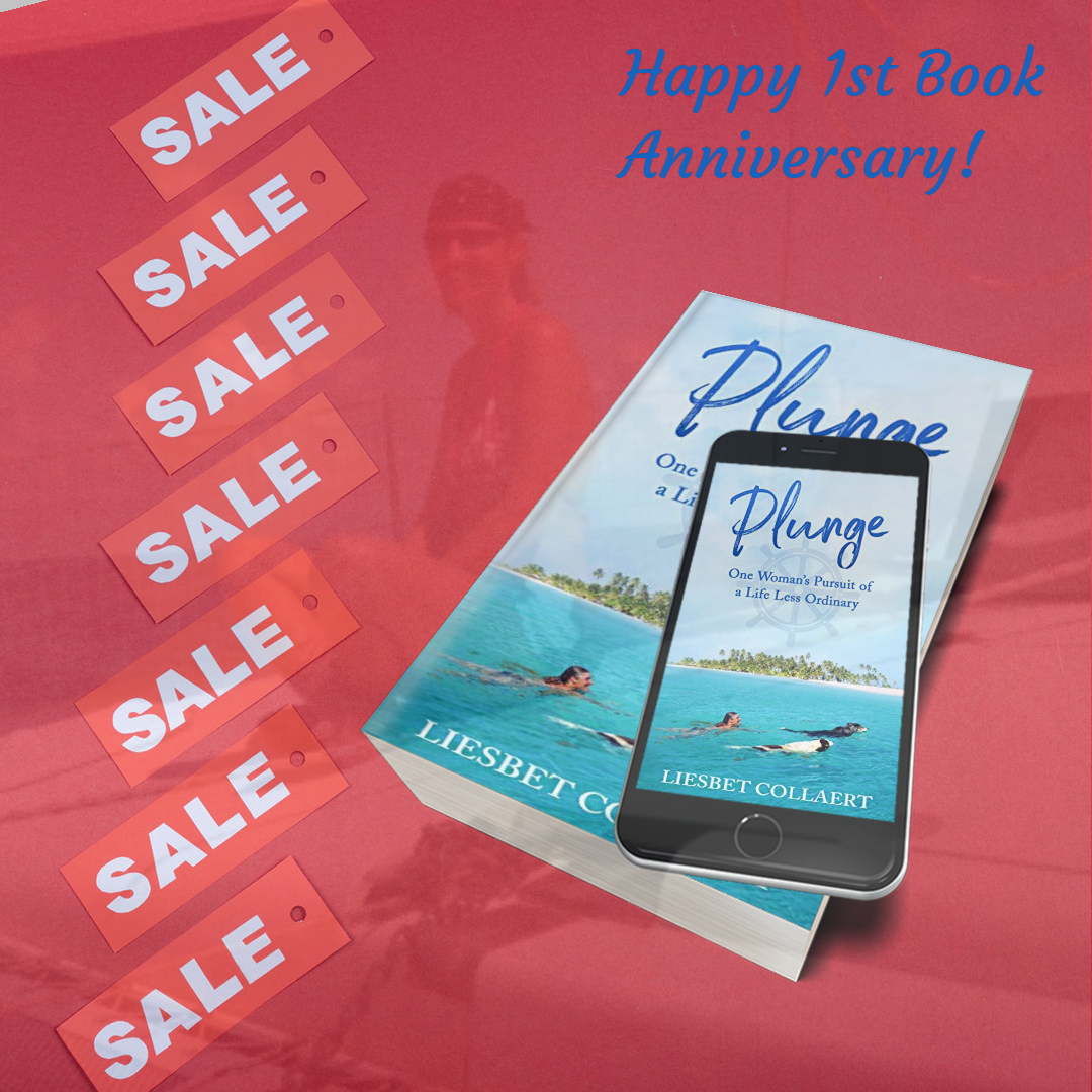 Happy 1st Book Anniversary! – Roaming About