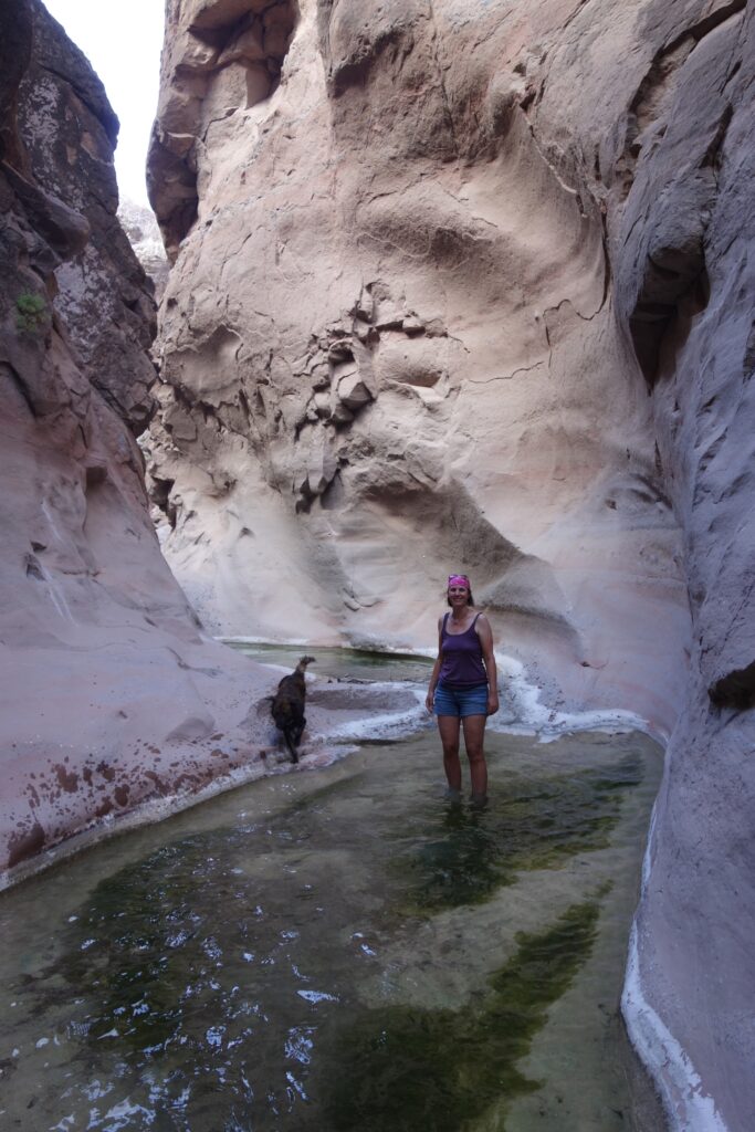 Wet & Wild Mesquite Canyon – One of the Most Spectacular Hikes in Baja ...