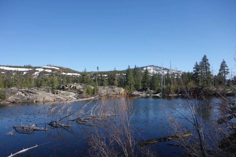 Lance 830 Truck Camper Saga – A Look Behind the Scenes of Buying Our ...