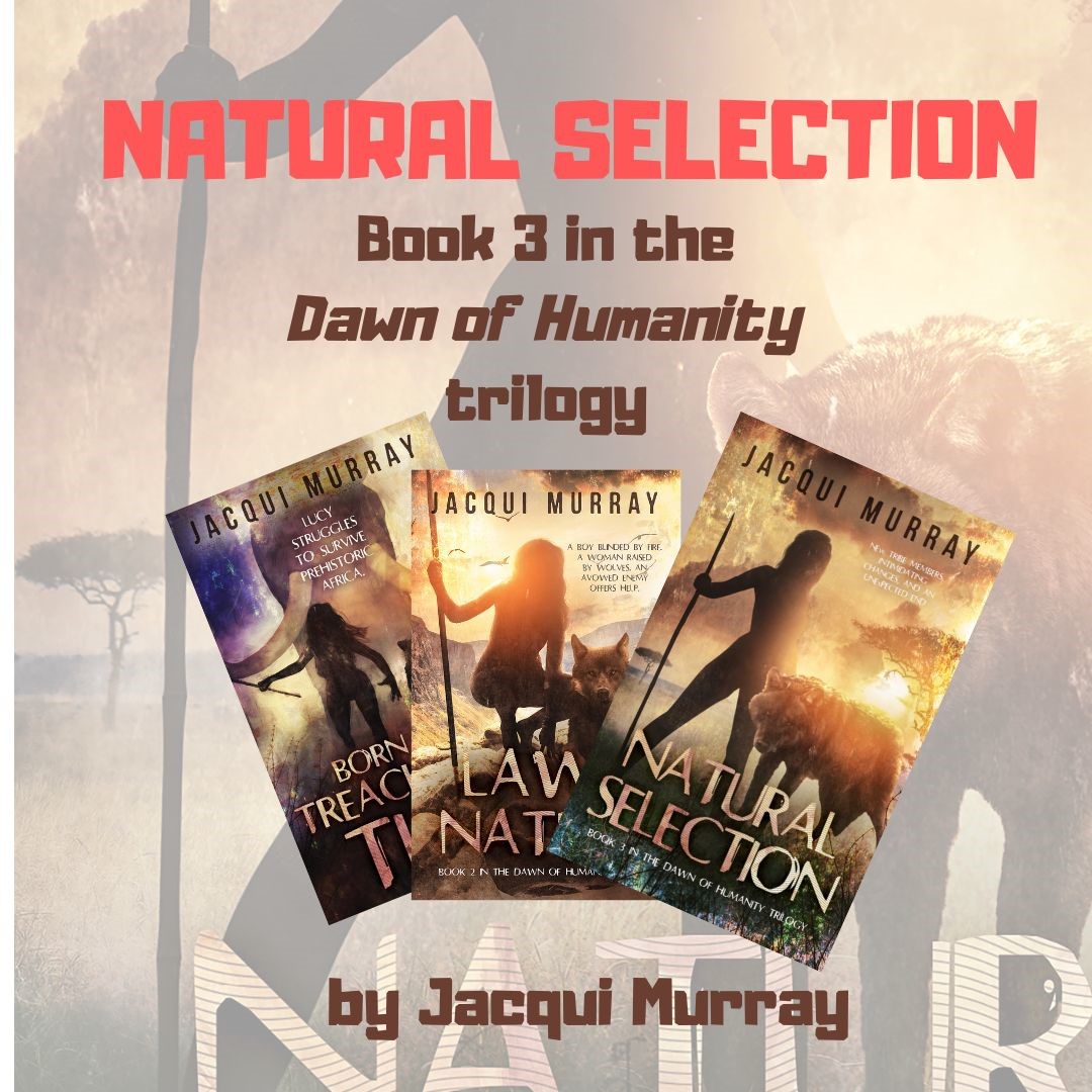 The Selection Book 3