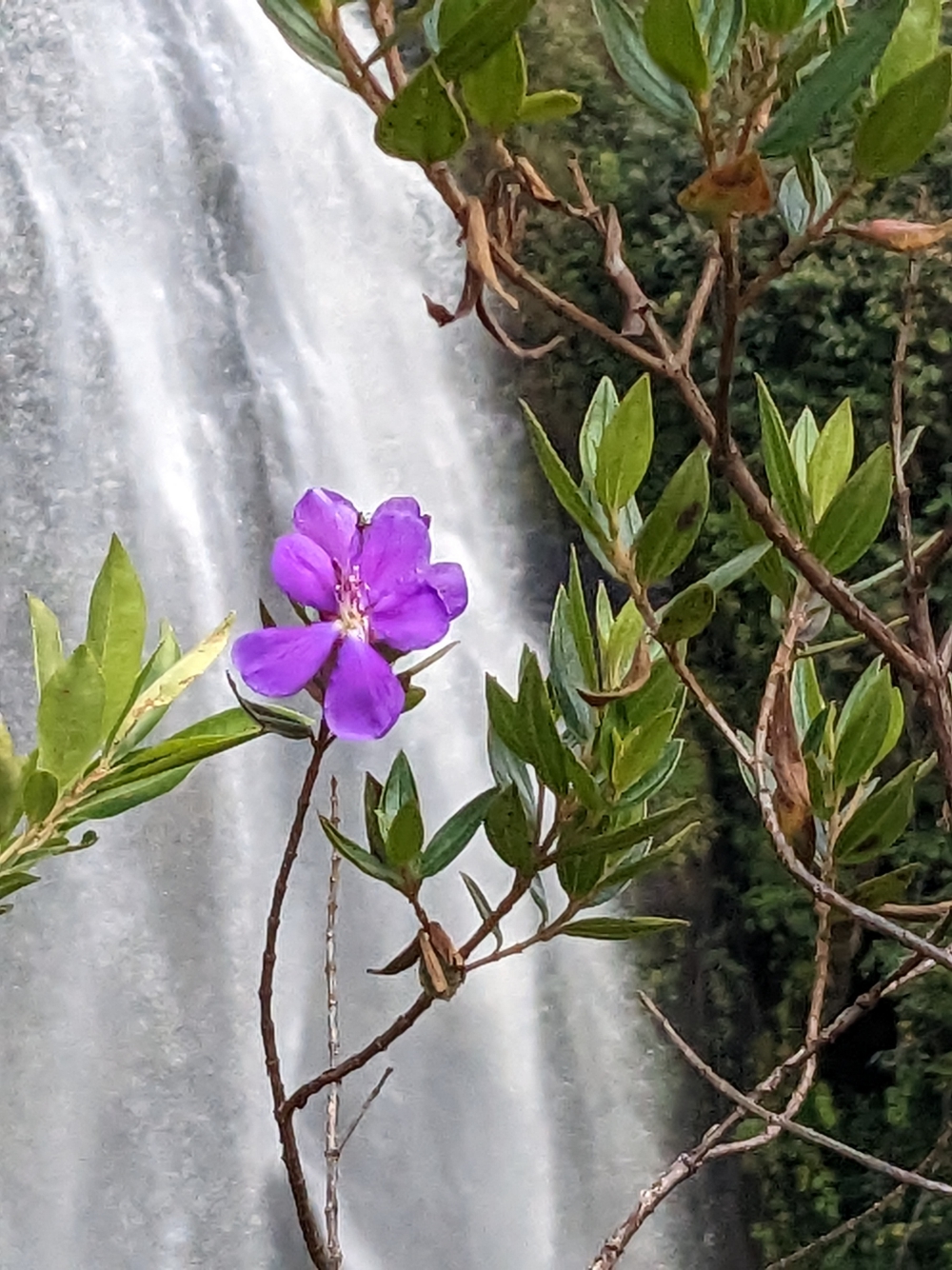 Off the Beaten Track Waterfalls, Lakes & Small Towns — Traversing ...